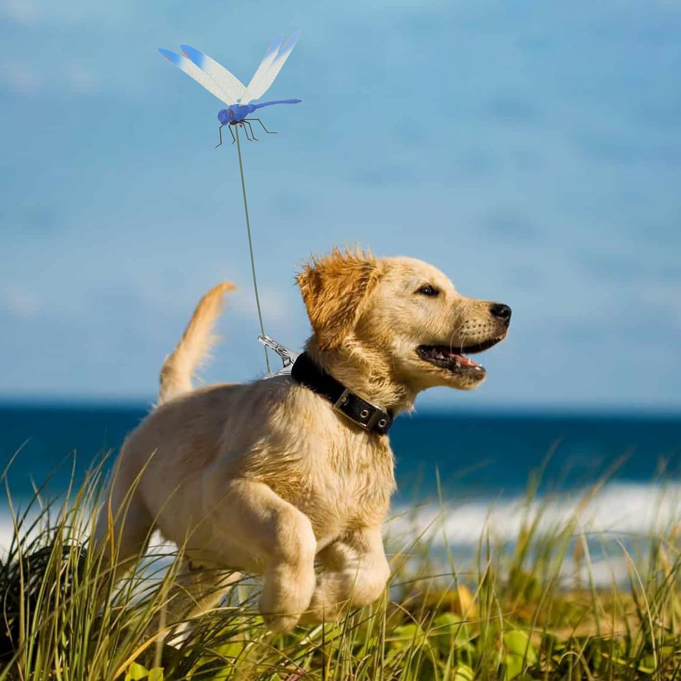 3D Dragonfly Rod Clip Insect Repellent – Govindeva